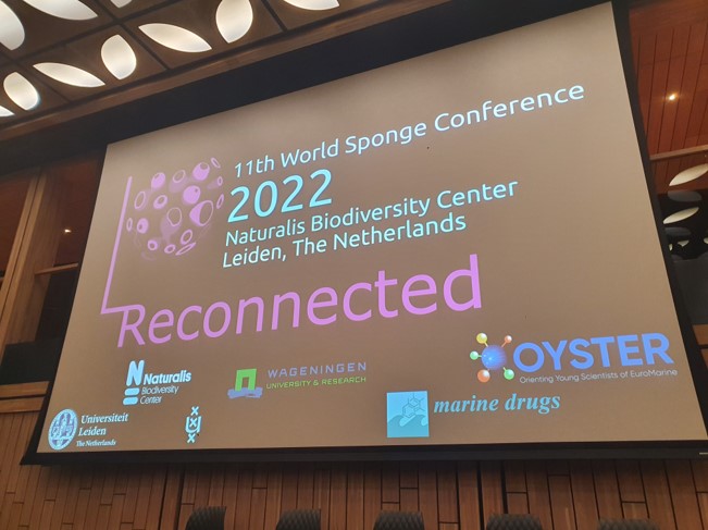 Winner Logo Contest World Sponge Conference - 3D Human Development